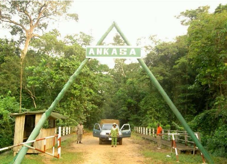 Ankasa Conservation Area – GhanaPortals