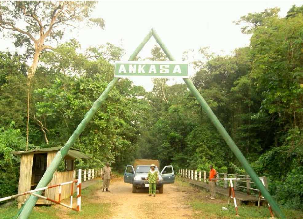 Ankasa Conservation Area – GhanaPortals